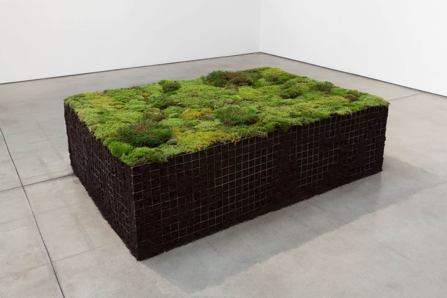 Meg Webster: Site-Specific Work | Environmental Art at OMAA