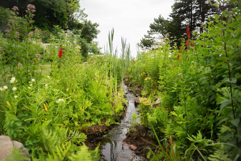 Ogunquit Museum of American Art _ Meg Webster _ Annabelle Collette 2023 ...